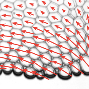 Trackpy: Fast, Flexible Particle-Tracking Toolkit — trackpy 0.7