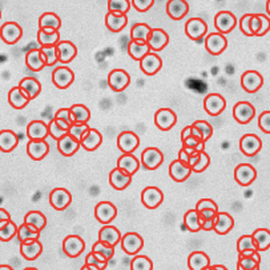 Trackpy: Fast, Flexible Particle-Tracking Toolkit — trackpy 0.7